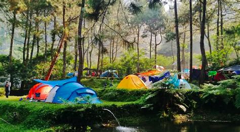 5 Rekomendasi Tempat Camping Di Bogor View Gunung Nomor 4 Dekat Sungai