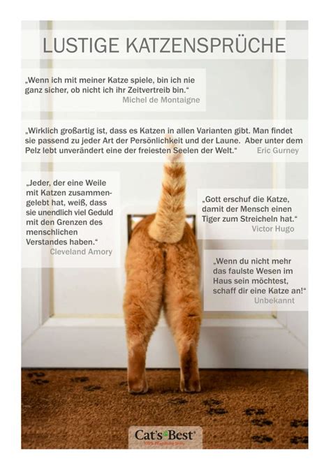 besten Katzensprüche Cats Best