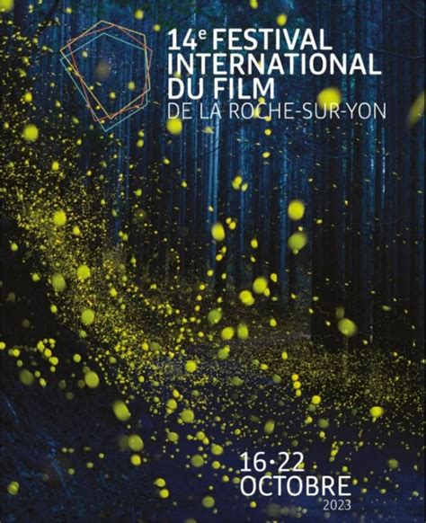 La Roche sur Yon l affiche du 14e Festival international du film dévoilée