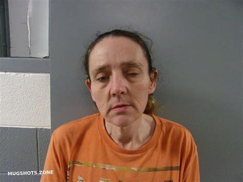 YORK LISA ANN 10 04 2023 Southwest Regional Jail Mugshots Zone