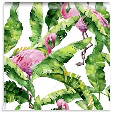 Fototapeta flamingi Tropikalne liście bananowca