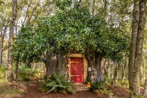 YOU Can Stay At Winnie The Pooh S House In The Hundred Acre Wood