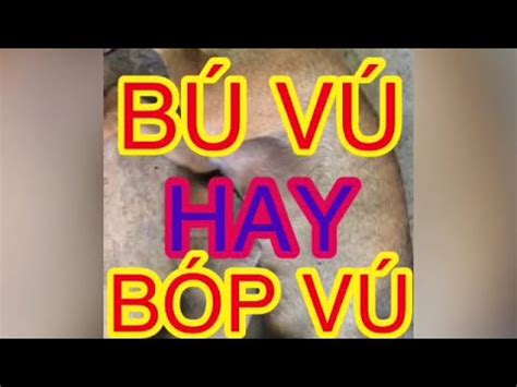 Vừa BÚ VÚ và BÓP VÚ chó mẹ có DỄ GHÉT không cả nhà YouTube