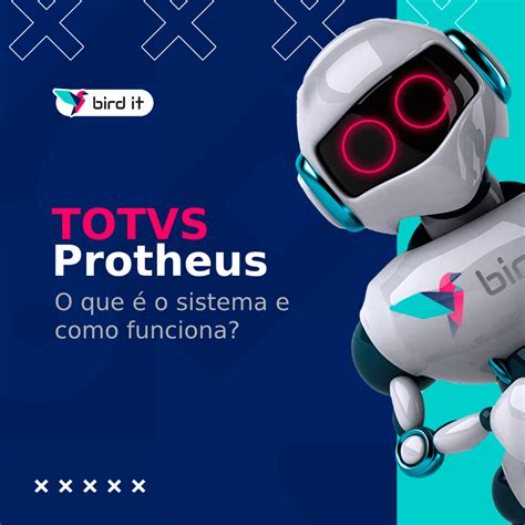 Como Funciona O Sistema TOTVS Protheus Bird It