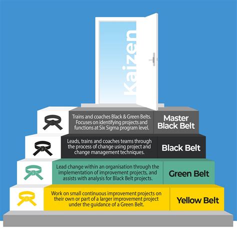 Posters And Infographics Of Lean Six Sigma Vative