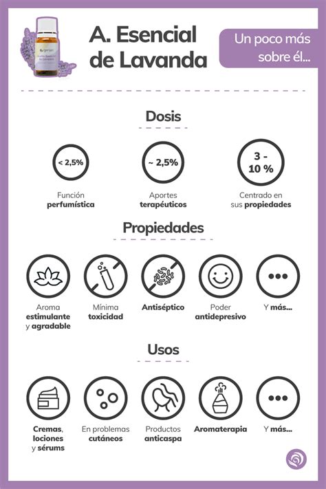 Aceite Esencial De Lavanda Origen Propiedades Y Usos