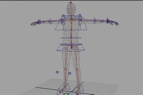 Building A Complete Human Character Rig In Maya Global Control And