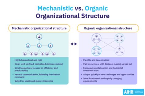 What Is An Organic Organizational Structure Hr Glossary Aihr