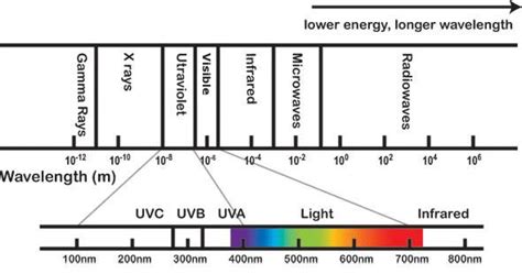 Spectroscopy Can Visible Light Or Infrared Radiation