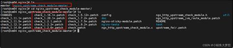 nginx 第三方健康检测模块的使用 nginx 健康检查模块 小鲸鱼大梦想的博客 csdn博客