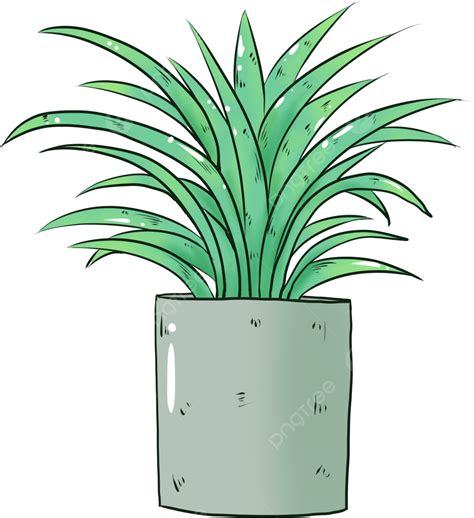 Planta Pelvis PNG Verde Planta Plantas En Macetas PNG Y PSD Para