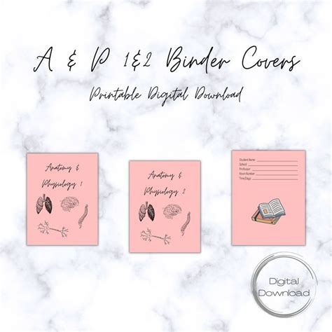 Anatomy Physiology Binder Cover