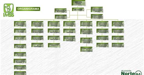 Administraci N De La Producci N Organigrama Del Imss