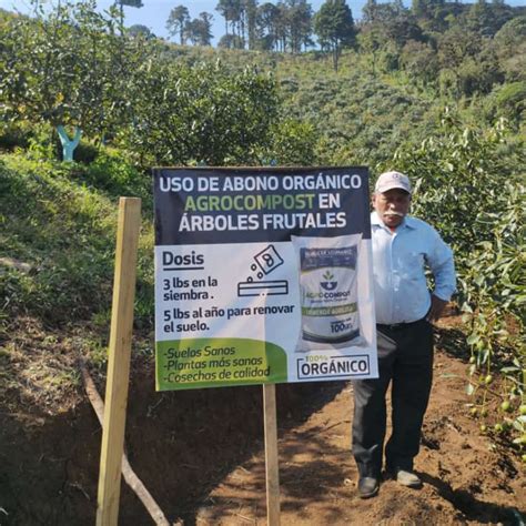 Details Mejor Fertilizante Para Rboles Frutales Abzlocal Mx