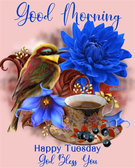 Good Morning Happy Tuesday And God Bless You Pictures Photos And