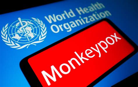 Monkeypox Qué dice la OMS sobre la viruela del mono Público