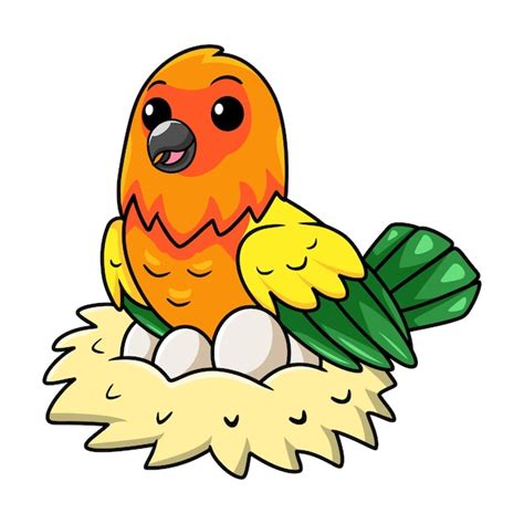 Lindo Sol Conure Loro Dibujos Animados Con Huevos En El Nido Vector