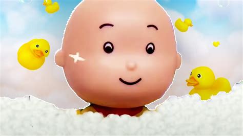 Caillou Toma Banho Caillou em Português WildBrain YouTube