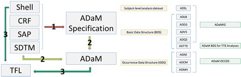 introduction on how to create adam
