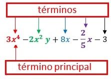 Elementos De Un Polinomio Universo Formulas