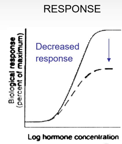 Homeostasis Flashcards Quizlet