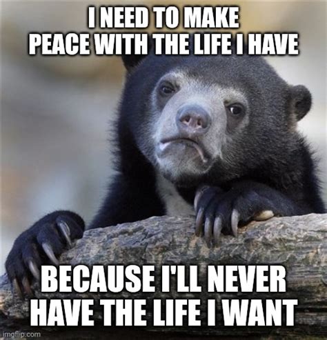 Confession Bear Meme Imgflip