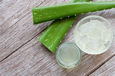 Jak si vyrobit pleťovou vodu z aloe doma