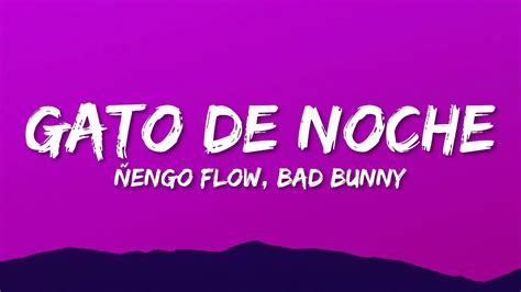 Engo Flow Bad Bunny Gato De Noche Letra Lyrics Youtube
