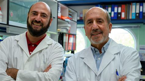 El Csic Transfiere A La Oms Sus Avances En El Desarrollo De La Vacuna