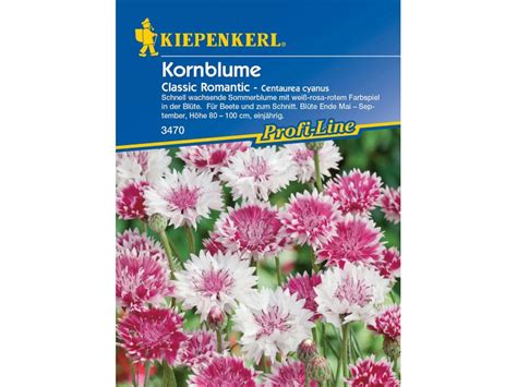 Kiepenkerl Profi Line Saatgut Kornblume Classic Romantic Centaurea