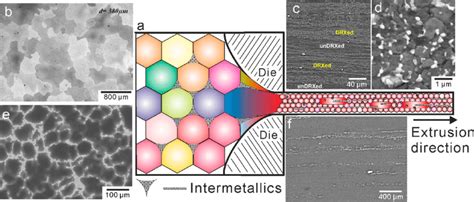 A Schematic Diagram Showing Microstructure Evolution During
