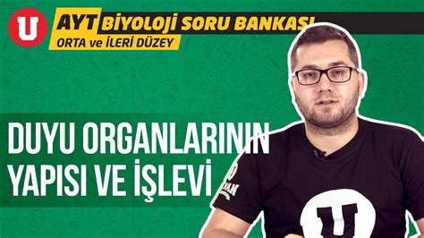 AYT Biyoloji Orta ve İleri Düzey Seans 7 Duyu Organlarının Yapısı ve