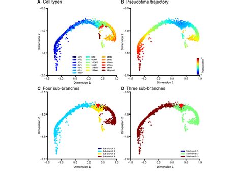 developmental trajectories inferred by dtflow for the mmp dataset a download scientific