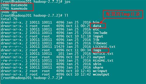 hadoop 再次格式化文件系统 bin hdfs namenode format 码上快乐