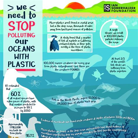 Albums Pictures Plastic In The Ocean Images Stunning