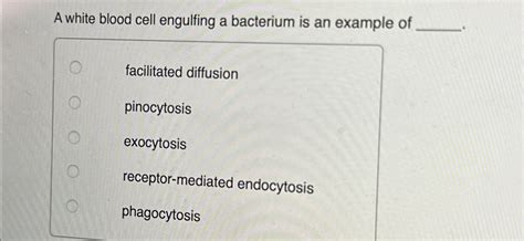 Solved A White Blood Cell Engulfing A Bacterium Is An Chegg