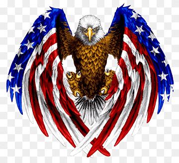 Flag Of The United States American Flag Flag Presentation Bald