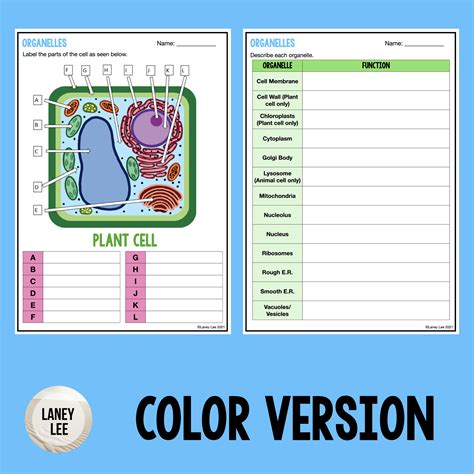 Organelles Worksheet Label And Describe Laney Lee Worksheets Library