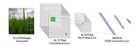 the proposed cnn architecture for paddy disease classification download scientific diagram