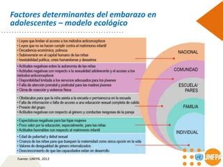 La Situacion Del Embarazo Adolescente En El Peru PPT