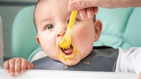 Introdução alimentar o que é como começar e receitas
