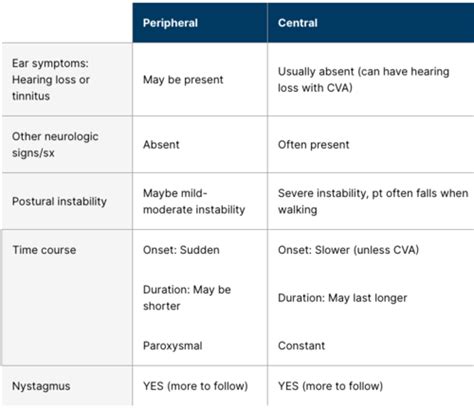 Nervous System Part Ii Flashcards Quizlet