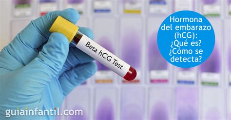 Calculadora De Valores Para Beta Hcg Para Confirmar El Embarazo