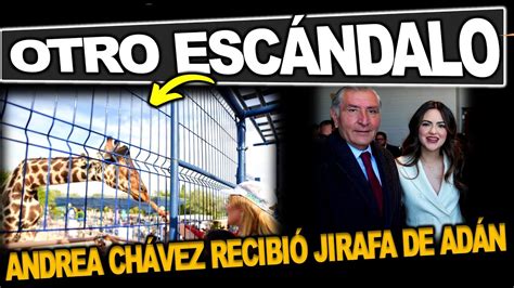 Esc Ndalo Por Jirafa Que Regal Ad N Augusto A Andrea Ch Vez Loret