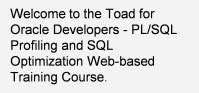 Toad For Oracle Developers PL SQL Profiling And SQL Optimization WBT