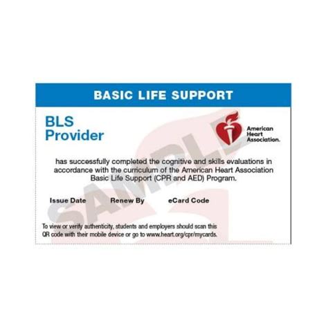 2020 AHA BLS For Healthcare Provider ECard Basic Life Support Health