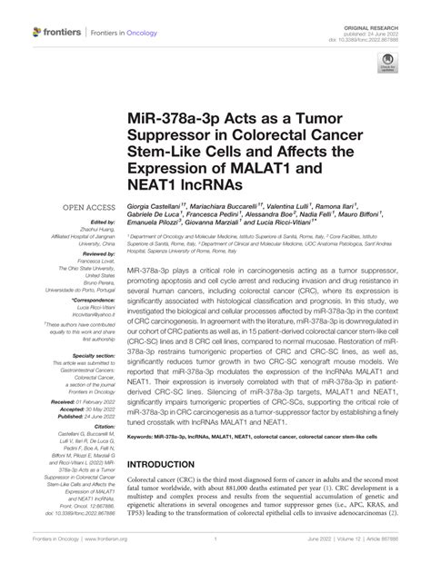 PDF MiR 378a 3p Acts As A Tumor Suppressor In Colorectal Cancer Stem