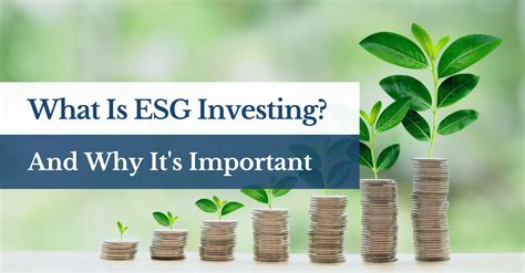 What Is ESG Investing Romero Mentoring