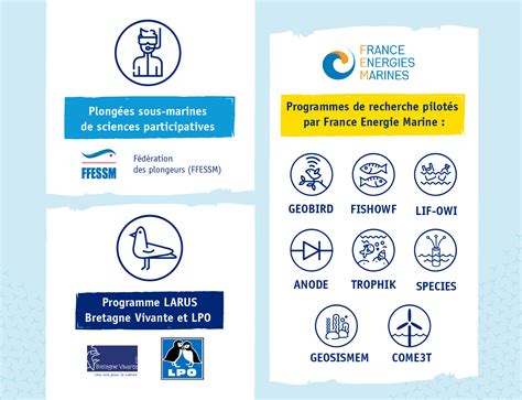 Suivi des impacts et mesures environnementales Parc éolien en mer de