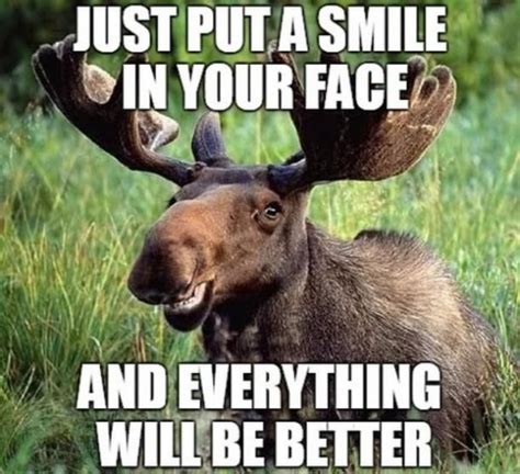 84 Funny Motivational Memes To Inspire You When You Need It Most Funny Motivational Memes
